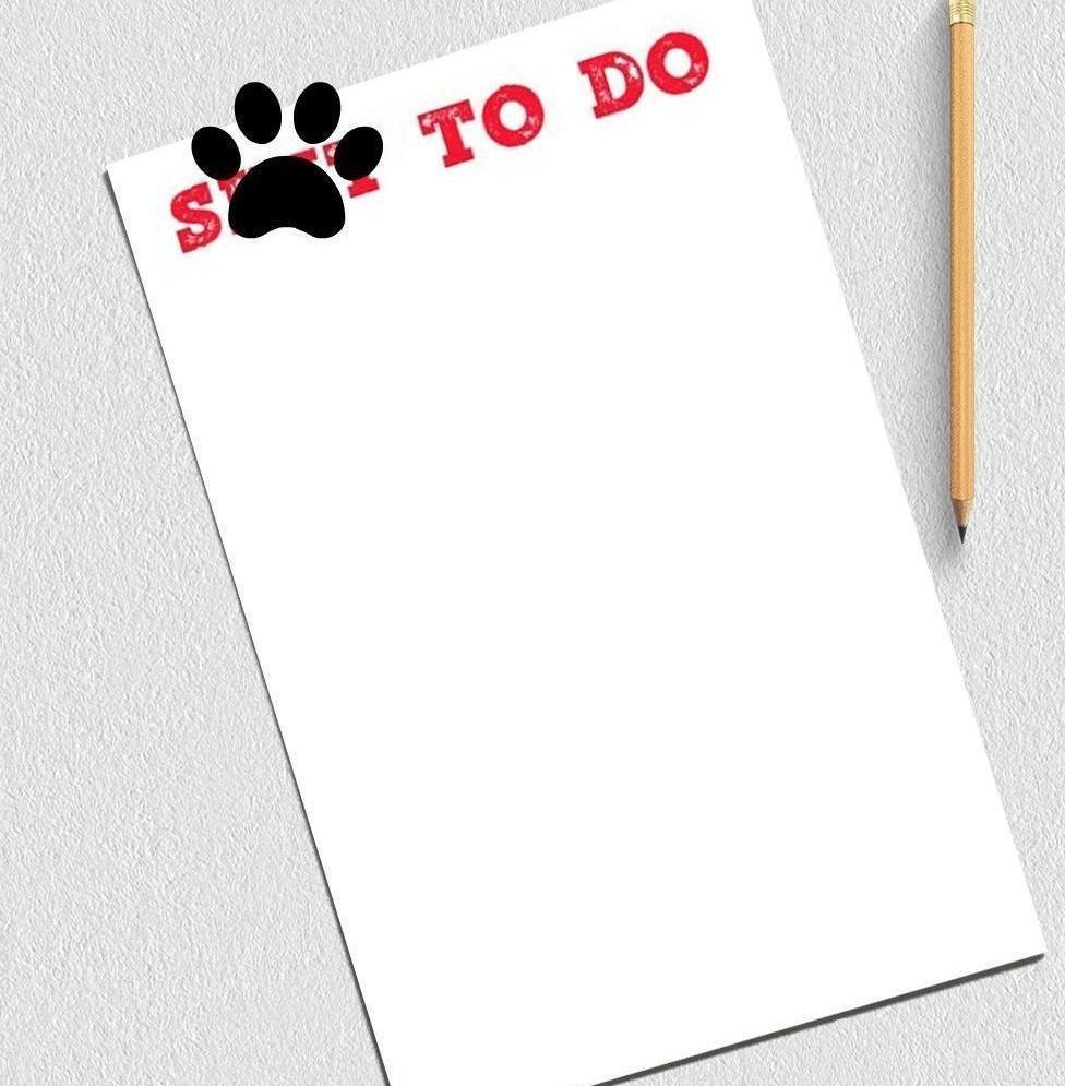 Funny Notepad, Sh** To Do Notepad, Shit To Do Notepad – Crafting With ...